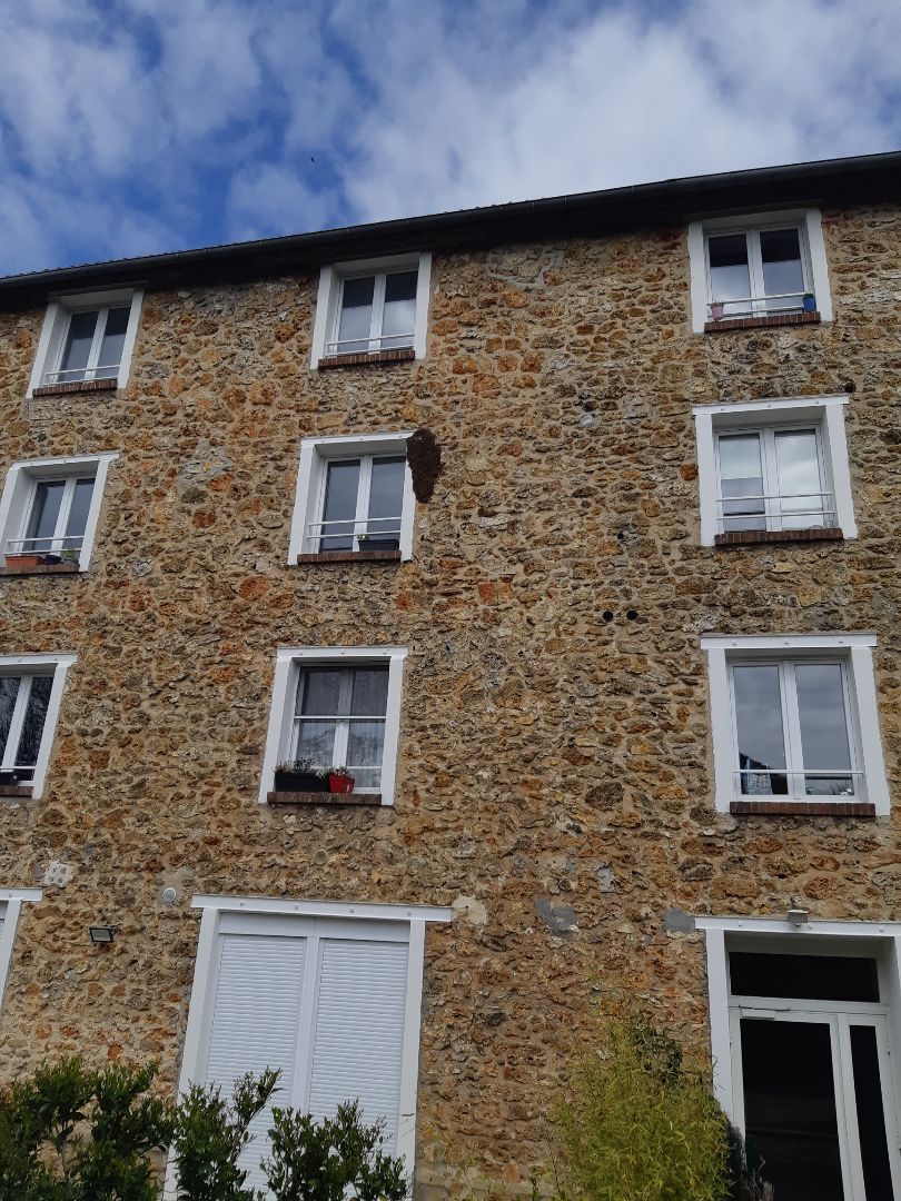 SOS Essaim D'Abeilles Sur Paris Et Ile-de-France