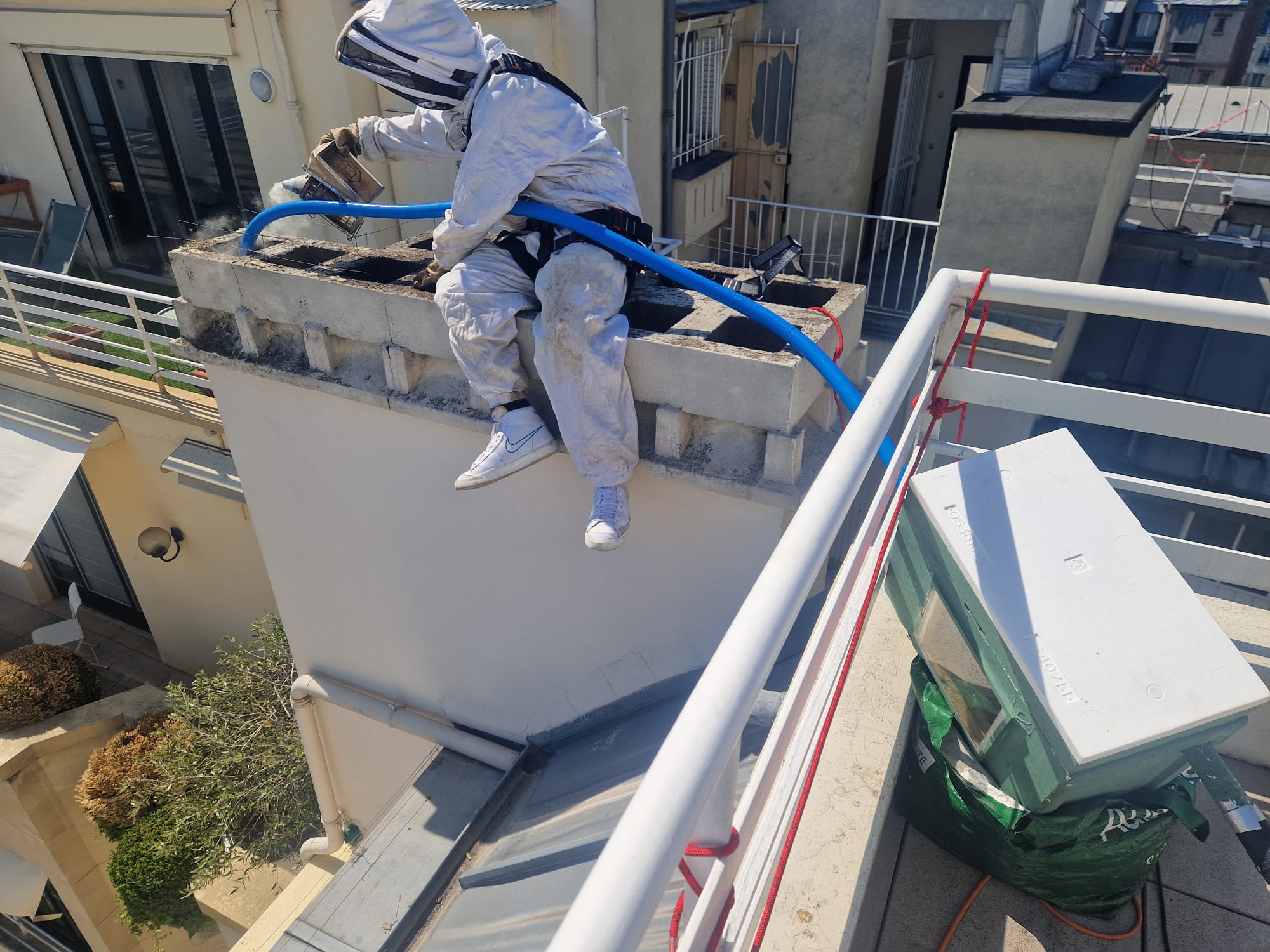 SOS Essaim D'Abeilles Sur Paris Et Ile-de-France